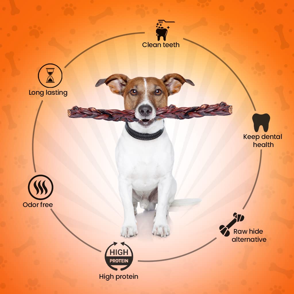 Raw Dog 6" Braided Beef Gullet Sticks (3 Pack) β 100% All Natural Dog Treats & Dental Chews, Non-GMO Grass Fed Beef, Chemical Free Low Odor