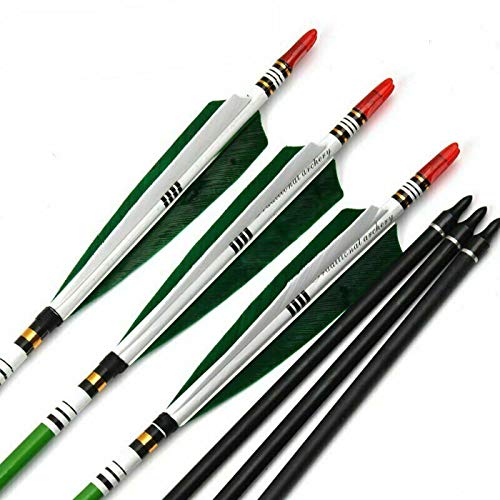 EROCK 12Pcs Carbon Archery Arrows 31inch with Green Turkey Real Feather Fletching Arrow for Recurve Compound Bows Hunting Target Practice, Spine 500, 7.6mm, Replaceable Arrowhead