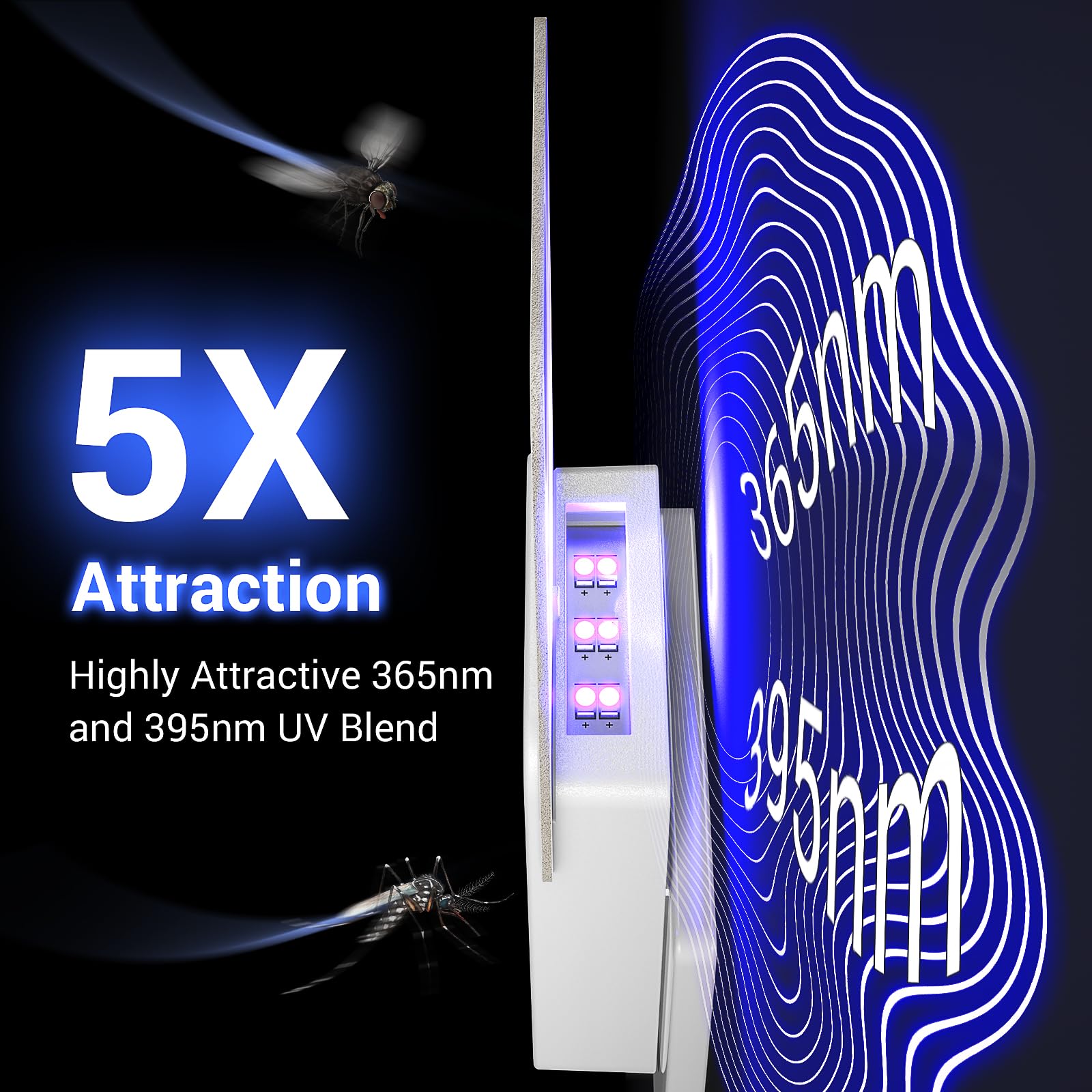 Fruit Fly Traps for Indoors, 3 in 1 Plug-in Fly Trap Indoor Flying Insect Trap Gnat Traps for House Indoor with Bug-Appealing Light, Warm & RGB Night Light for Home Kitchen, 1 Trap+6 Glue Cards