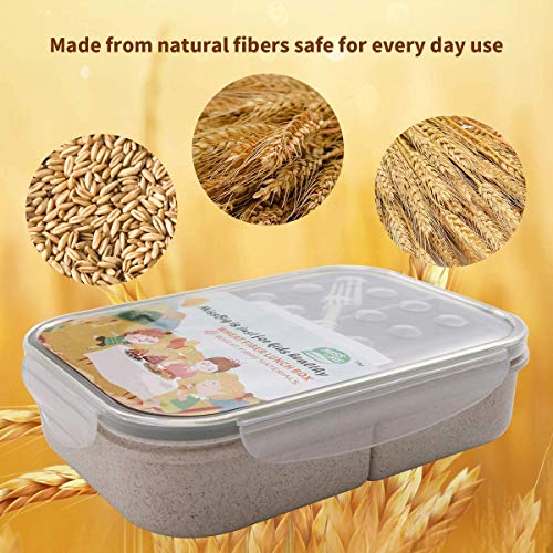 MISS BIG Bento Box, Bento Box for Kids,Ideal Leak Proof Lunch Box Kids,Mom’s Choice Kids Lunch Box, No BPAs and No Chemical Dyes,Microwave and Dishwasher Safe Lunch Containers(White)
