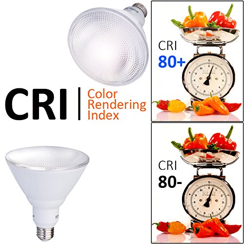 CYOIDAI 5000K Daylight Outdoor PAR38 LED Flood Light Bulb, 90W Equiv. 13W Non-Dimmable (4 Pack)