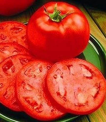Germinazione dei semi: 25 - Semi: Homesweet ibridi semi di pomodoro - Questi sono molto Dolce, succosa e saporita MMmm