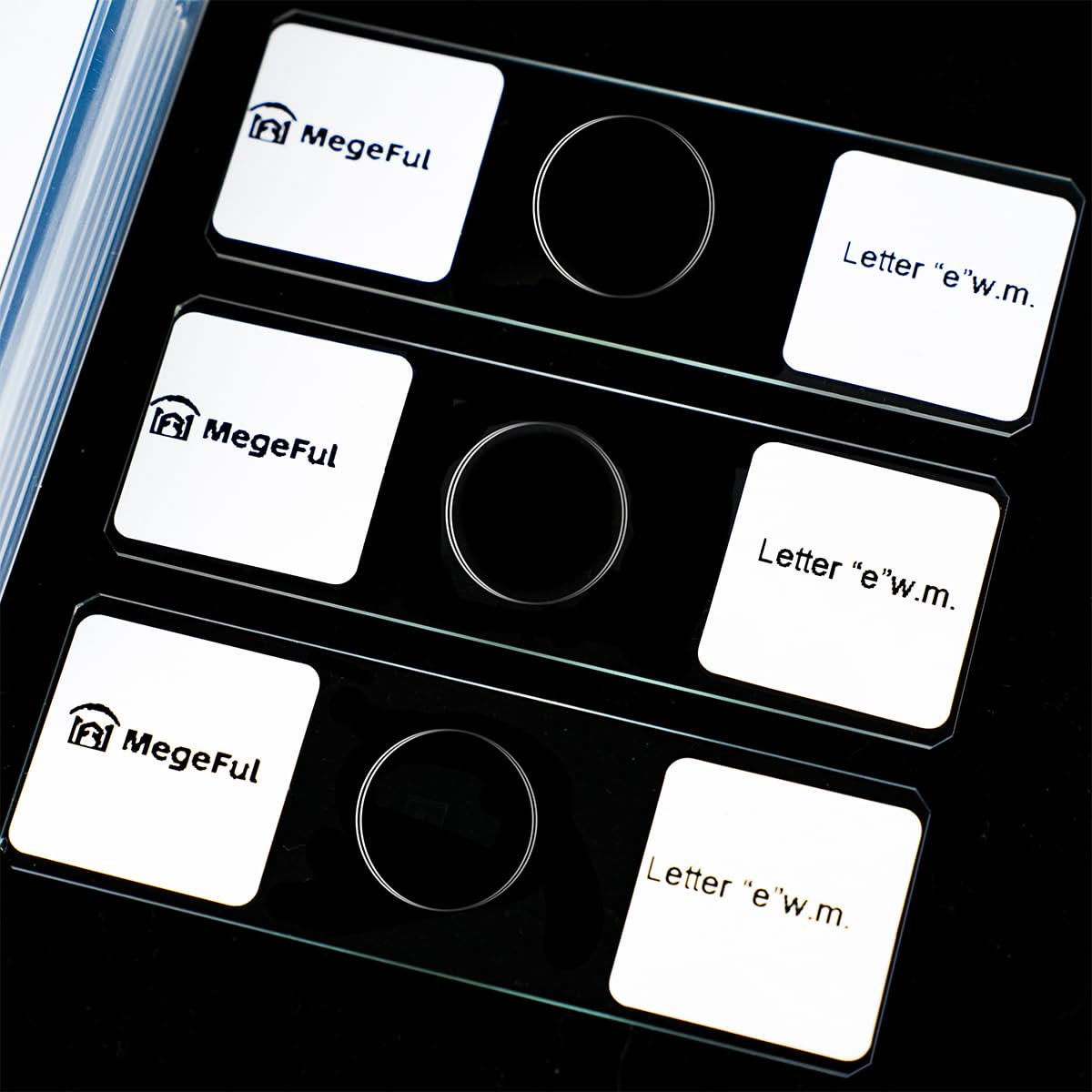 Letter e Prepared Microscope Slides, 5 Pack Standard Size Microscope Slides for Class