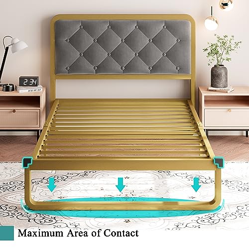 iPormis Twin Size Metal Bed Frame with Velvet Button Tufted Headboard, Curved Platform Bed Frame, Thicker Metal Steel Slats Support, 12'' Under-Bed Space, Noise-Free, Easy Assembly, Gold & Grey