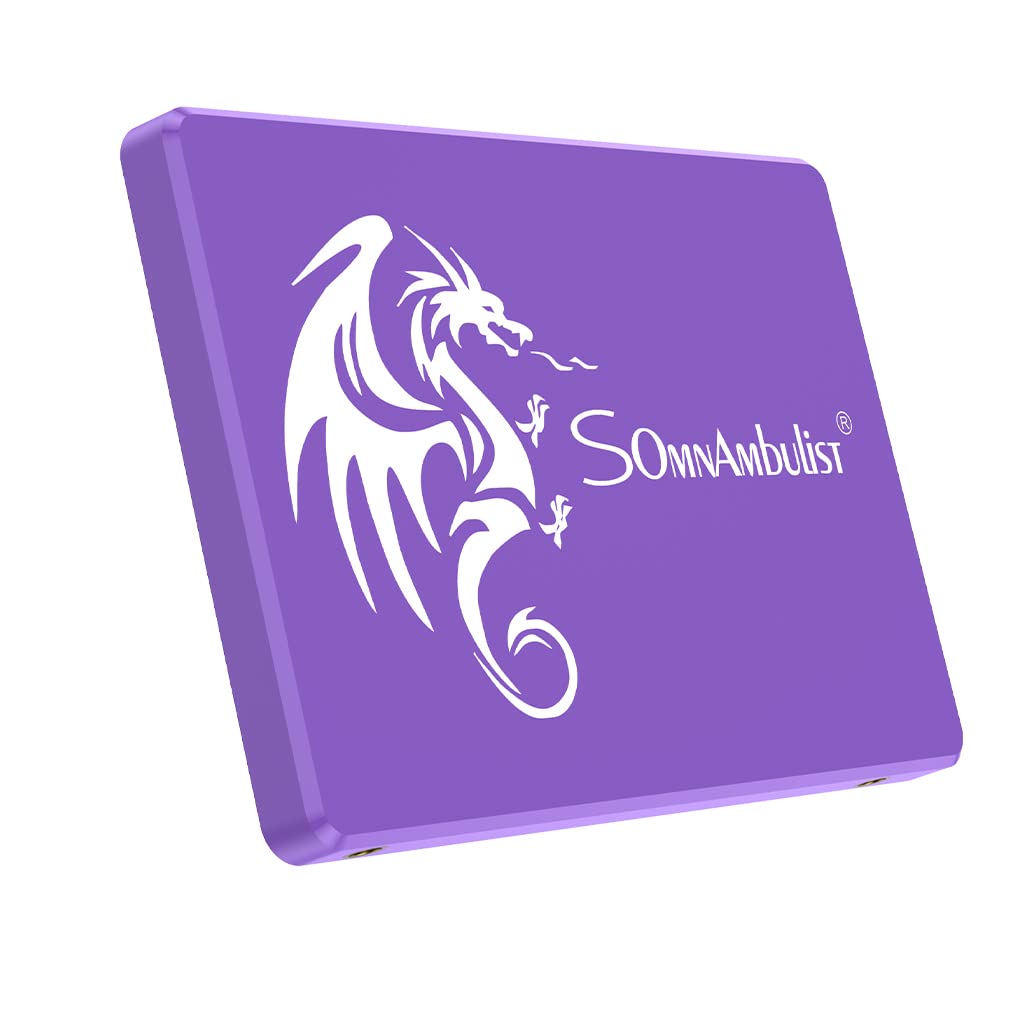 Somnambulist Internal Hard Drive SSD 60GB 120GB 240GB 960GB 2TB SATA3 2.5 inch SSD 480GB SSD (Purple Dragon 240GB)