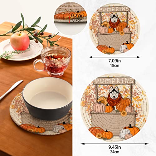 Spring Dogs Sunflower Pot Holders Trivets 2 Pcs Heat Resistant Trivets for Hot Dishes,Puppy Pumpkin Funny Cotton Thread Weave Trivet Mats for Hot Pads Pans Pot Bowl Teapot for Kitchen Decor