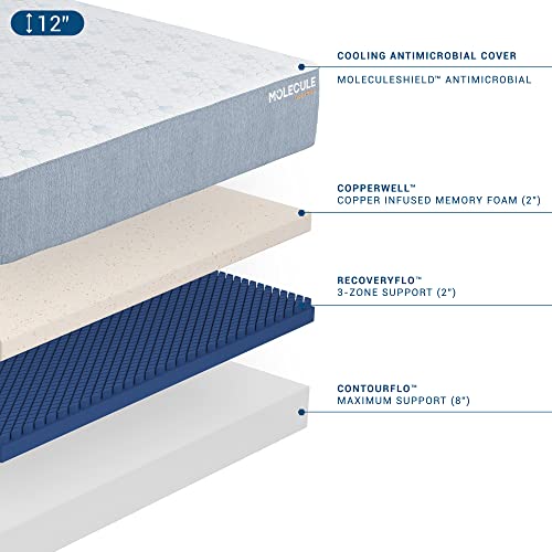 Molecule CopperWELL 12" Cooling Gel Memory Foam Medium Plush Mattress, Cal King