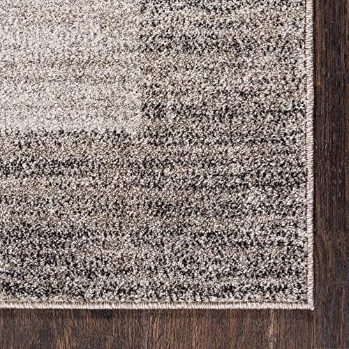 Rugs.com Angelica Collection Rug β 9' x 12' Light Gray Medium Rug Perfect for Living Rooms, Large Dining Rooms, Open Floorplans