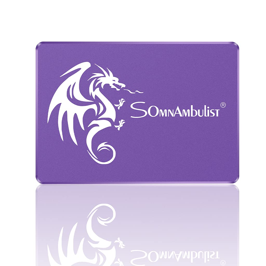 Somnambulist Internal Hard Drive SSD 60GB 120GB 240GB 960GB 2TB SATA3 2.5 inch SSD 480GB SSD (Purple Dragon 240GB)