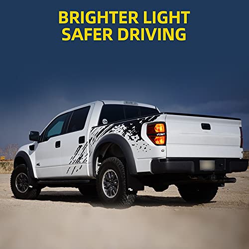 DWVO Tail Light Assembly Compatible with 2009 2010 2011 2012 2013 2014 Ford F150 & F-150 Styleside Pickup Truck Taillights Replacement Tail Lamps