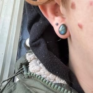 Covet Jewelry AAA Grade Natural Labradorite Double Flare Teardrop Plug (1/2")