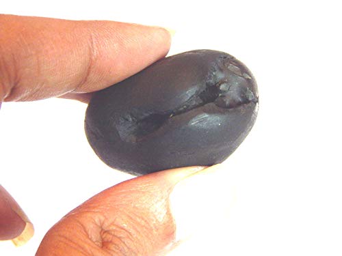 phoenix888 Sacred Adwaitya Shweta Gadadhar Pandit Shaligram Nepal Kali Gandaki