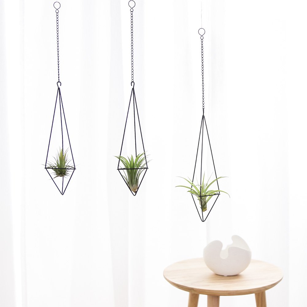 Dahey Hanging Air Plant Holder Unique Tillandsia Hanger Display Himmeli Geometric Planter with Chains Metal Airplant Rack for Indoor Home Decor, 4 Pack, 2 Sizes, Bronze