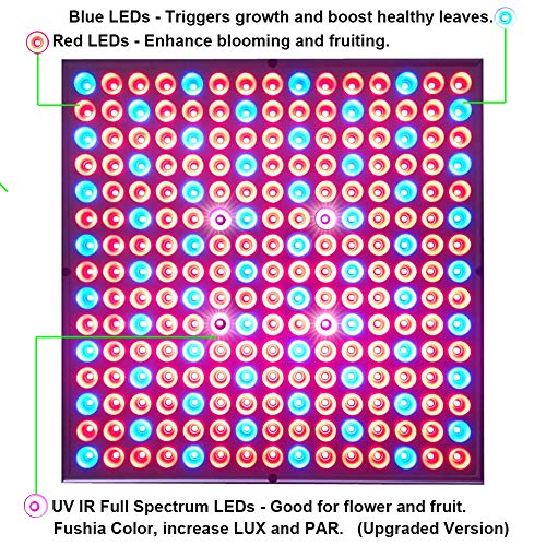 i-Venoya 75W LED Grow Light for Indoor Plants Growing Lamp 225 LEDs UV IR Red Blue Full Spectrum Plant Lights Bulb Panel for Hydroponics Greenhouse Seedling Veg and Flower