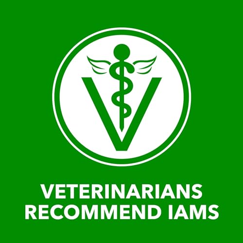Iams Proactive Health Wet Dog Food, Lamb Chunks in Gravy, 13 oz., Pack of 12