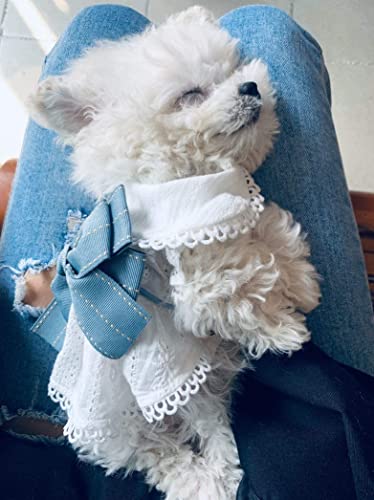Jingmezhi Pet Cotton Embroidered Back Bowknot Hollow Out Dresses for Cat Dog Daily Clothing (S+(6.6lb~7.7lb))