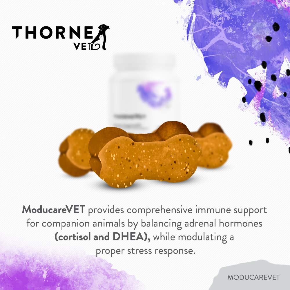 ThorneVet ModucareVET β Immune System Support from Plant Sterols for Dogs, Cats & Horses, 90 Soft Chews