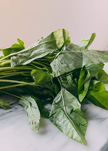 Gaea's Blessing Seeds - Ong Choy Seeds - Kong Xin CAI Kangkong - Non-GMO Seeds with Easy to Follow Planting Instructions 94% Germ Rate (Pack of 1)