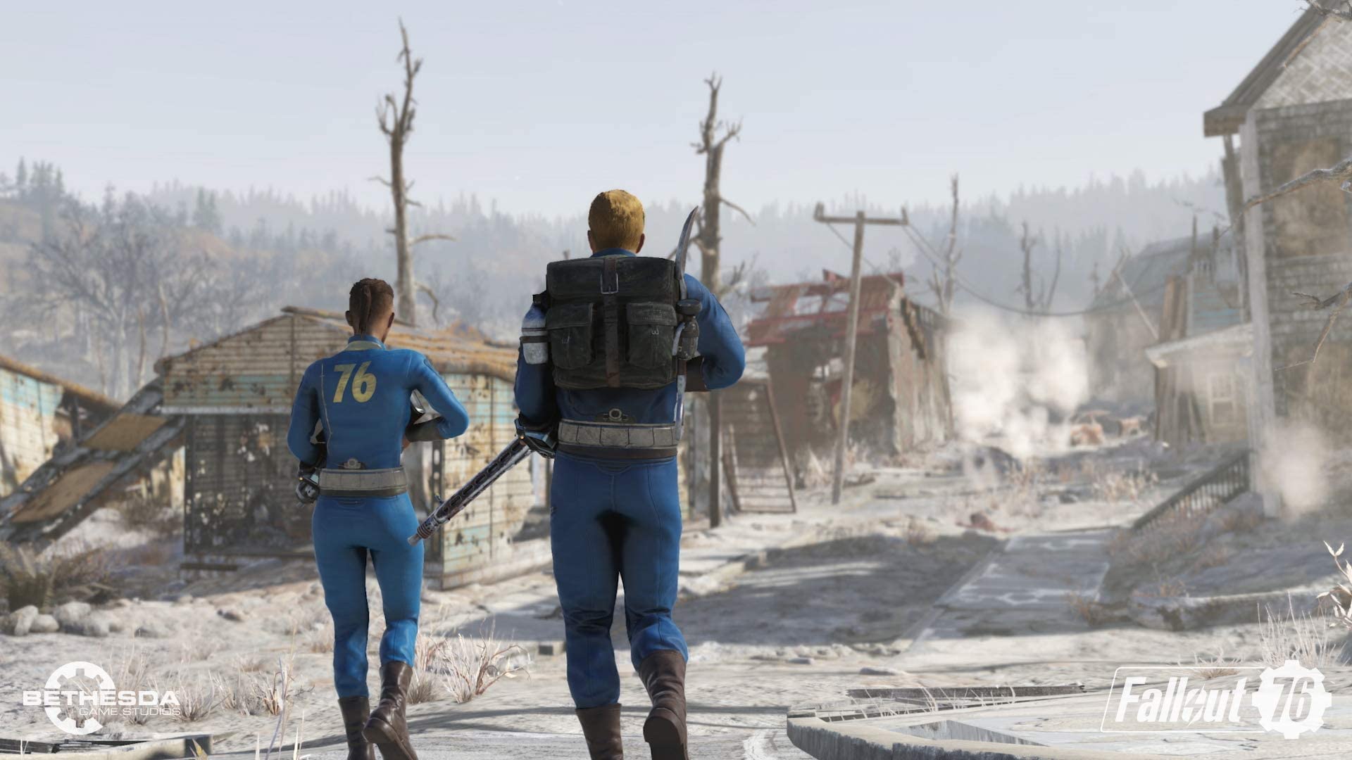 Fallout 76 with bonus Steelbook & Controller Skin (Playstation 4 - PS4)