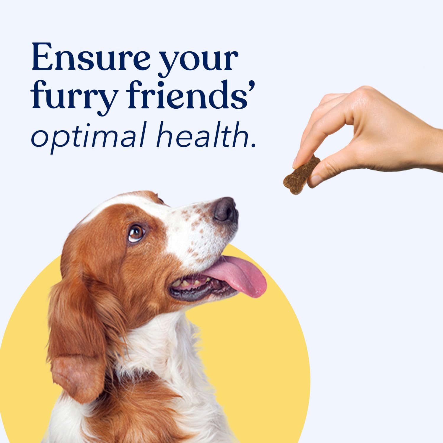 Honest Paws Dog Multivitamin Soft Chews - Joint Flexibility Mobility Support - Soft Shiny Healthy Coat - Immune, Eye, Heart Support - Glucosamine & Chondroitin, Omega-3 Fatty Acids - Beef Flavor