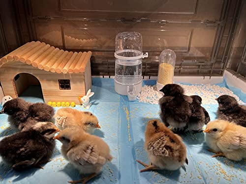 HKDQ Chick Brooder,Brooder Box for Chicks,Brooder Heater Warms up to 20 Chicks,with Pet Pee Pad(55L)
