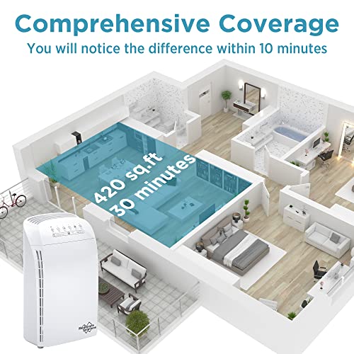MSA3 Air Purifier with One Extra Original MSA3 Replacement Filter