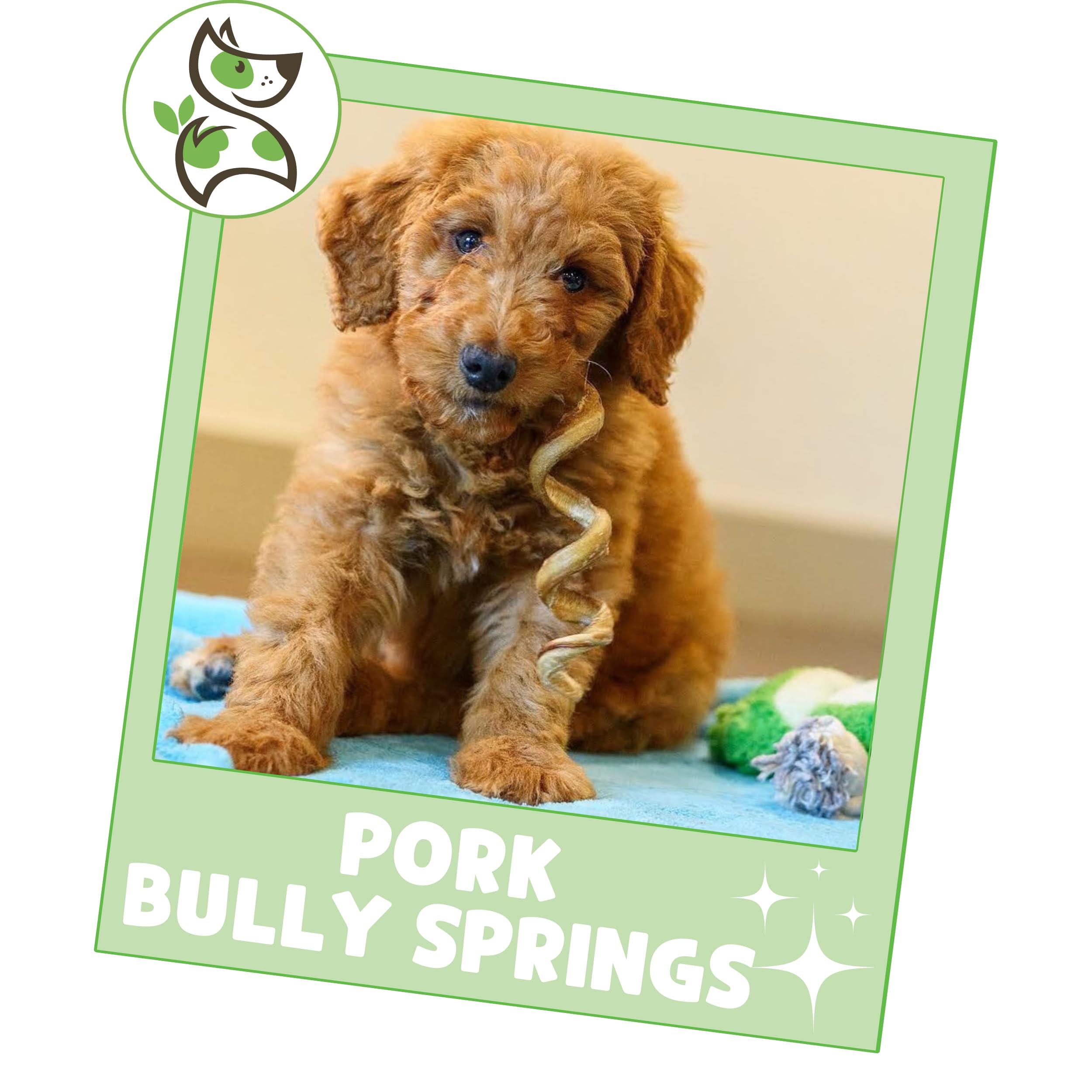 Nature Gnaws Pork Bully Stick Springs for Dogs 7-8" (12 Count) - Long Lasting for Small and Medium Dogs - Natural Bacon Dog Chew Treats - Rawhide Free