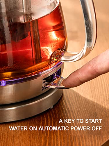 Hokcus Classic Kettle with 3Mins Quick Quiet Boil, Automatic Shutoff, Tea Heater Hot Water Boiler,Dry Burn Prevention 1L Base/1Kettle/1Kettle