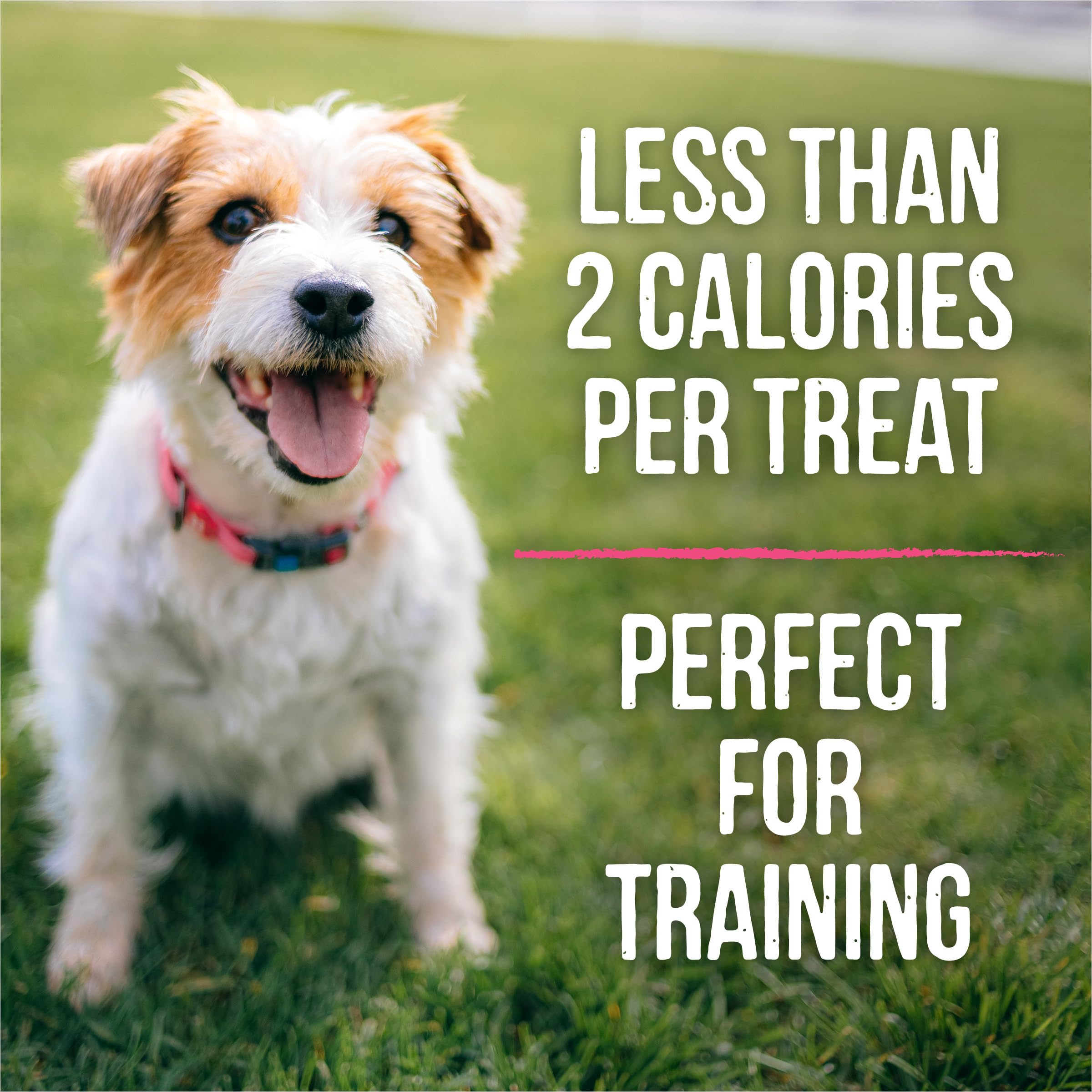 Merrick Lil’ Plates Grain Free Small Dog Treats, Natural Training Treats For Small Dogs, Small Salmon Recipe - 5 oz. Pouch