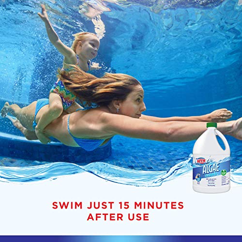 HTH 67034 Algae Guard Swimming Pool Algaecide Cleanser, 1 gal