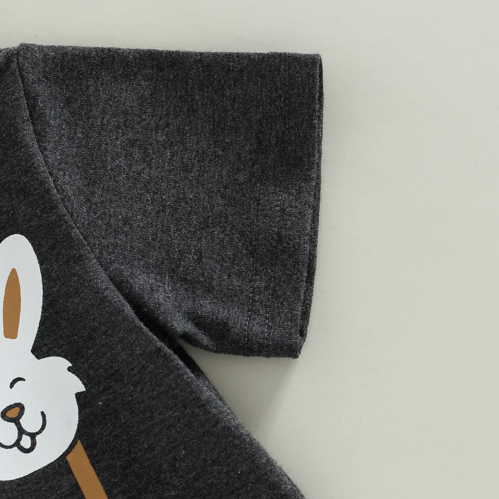 Infant Toddler Baby Boy Easter Day Outfit Clothes Short Sleeve Bunny Letter Printed T-Shirt Tops and Jogger Pants Set (Dark Gray, 18-24 Months)
