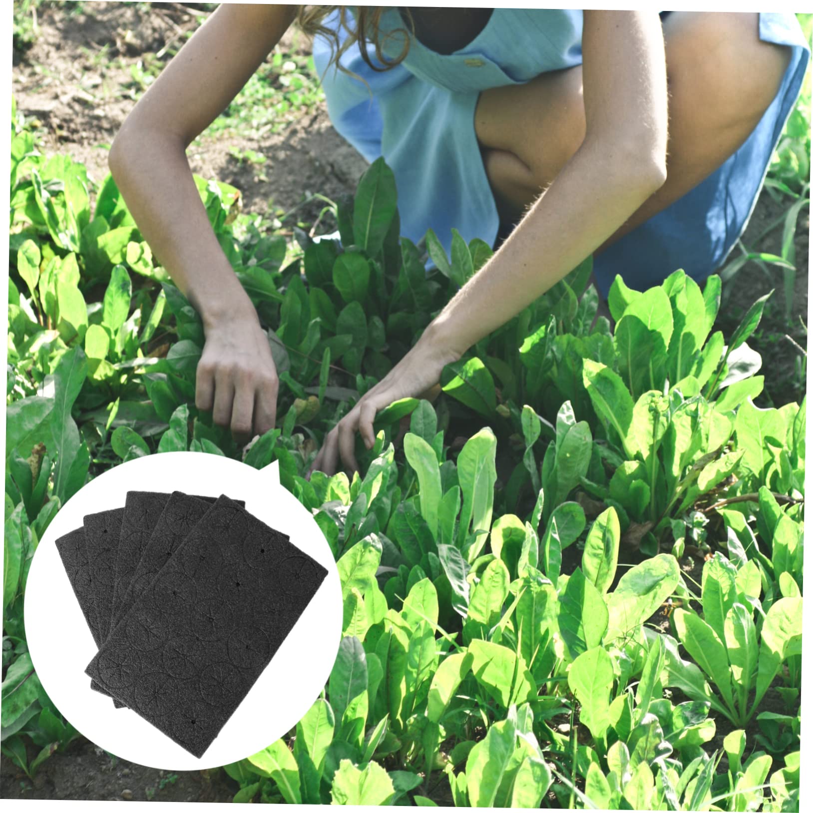 DECHOUS 150 Pcs Foam Colonization Sponge Germination Sponge Growing Sponge Hydroponic Sponges Plant Nursery Pot Nursery Pots Sponge Plant Germination Kits Hydroponics Accessories