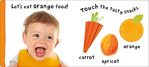 See, Touch, Feel: Colors