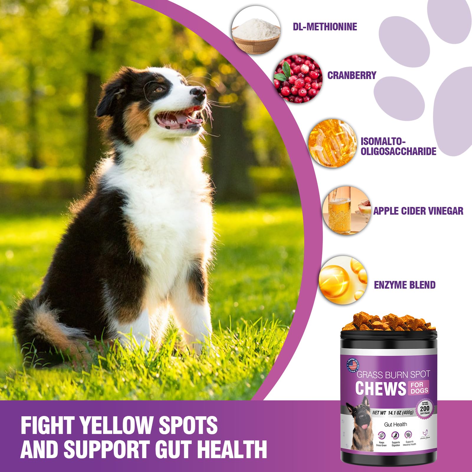 Grass Burn Spot Chews for Dogs Dog Pee Grass Neutralizer 200 Green Grass Dog Chews Urine Lawn Spot Protector Urinary Tract Support Dog Bladder Support Cranberry, Apple Cider Vinegar, DL-Methionine