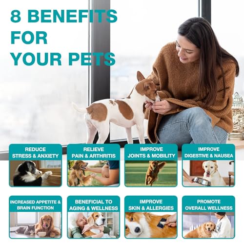 MaxHemp Dog Hip & Joint Care for Pet Oil-BOYIGENGXIN-32