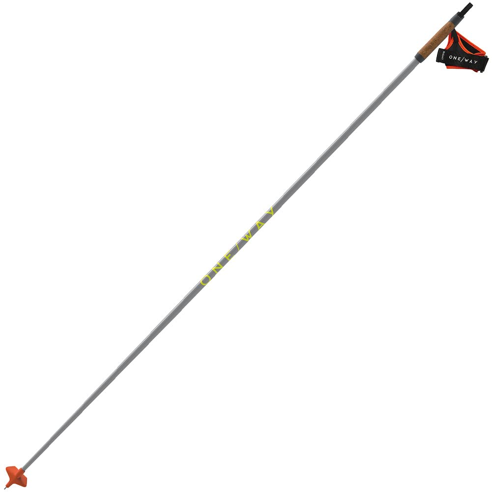 FISCHER Skiing Lightweight High-Performance Storm 6 Race Ghost Grey Nordic Poles, 160 cm