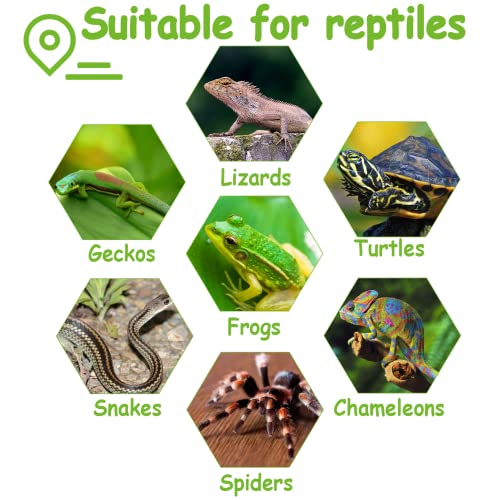 Hamiledyi Reptile Hides and Caves Bearded Dragon Log Hide Snake Hideaway Wood Shape Gecko Hideout Hut Resin Birch Bark Tank Decor for Lizard Ball Python Turtle Spider