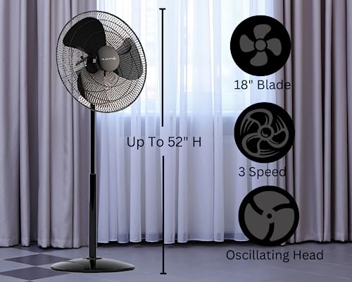 Westerly Oscillating Pedestal Fan, Adjustable Height, 3 Speeds, for Bedroom, Living Room, Home Office and College Dorm Room, 18", Black (2)