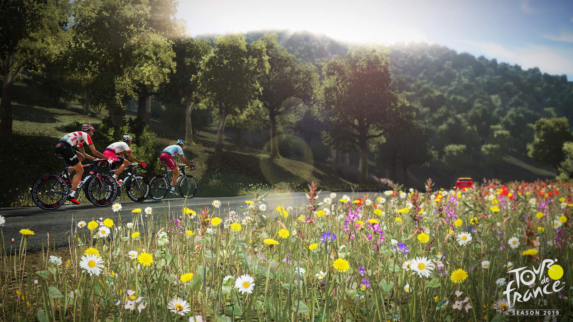 Tour De France (PS4) - PlayStation 4