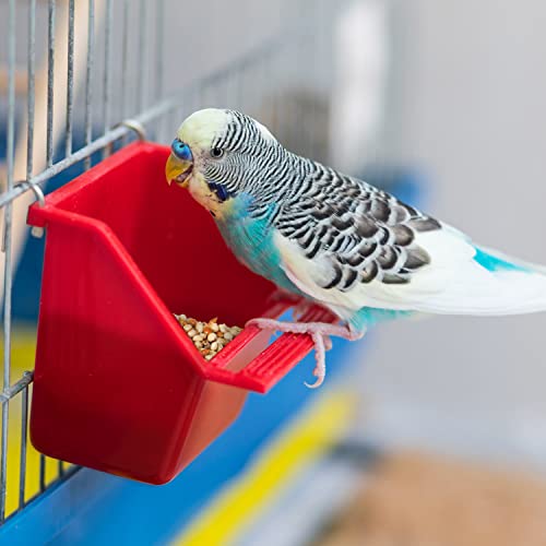 Wild Harvest Universal Blend for Small Birds, 10 lb Bag, Fortified Nutrition (P-99284)