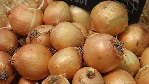 Gaea's Blessing Seeds - Onion Seeds - Non-GMO Heirloom Seeds with Easy to Follow Instructions (Walla Walla Sweet Onion) 93% Germination Rate