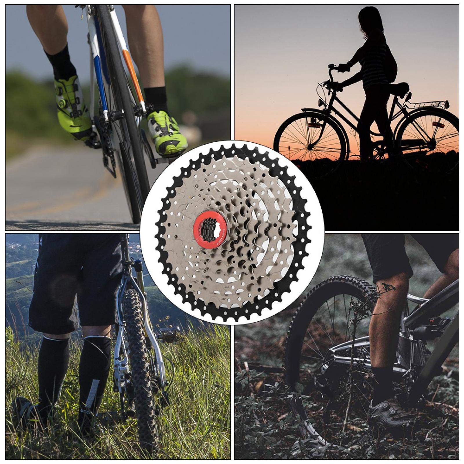 DAUERHAFT ZTTO 8 Speed 42T Bike Flywheel ,for Riidng,for Mountain Bike