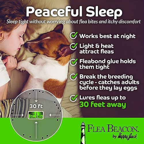 Happy Jack Flea Beacon Kill Fleas in House, Flea Killer, Attracts, Traps Indoor Fleas, Breaks Breeding Cycle Before Adults Lay Eggs, Safe, Fast, & Clean Way to Get Rid of Indoor Fleas, Made in USA