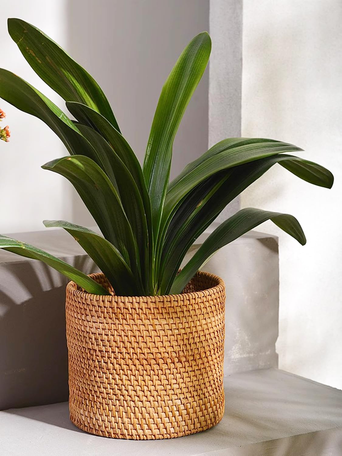 I-LAN Kitchen Rattan Cutlery Utensils Container Holder,Table Wicker Mini Trash Cans,Desktop Storage Bin,Boho Home Decor Flower Pot Cover for Indoor Planter,7.8"x7.8"x7.1"
