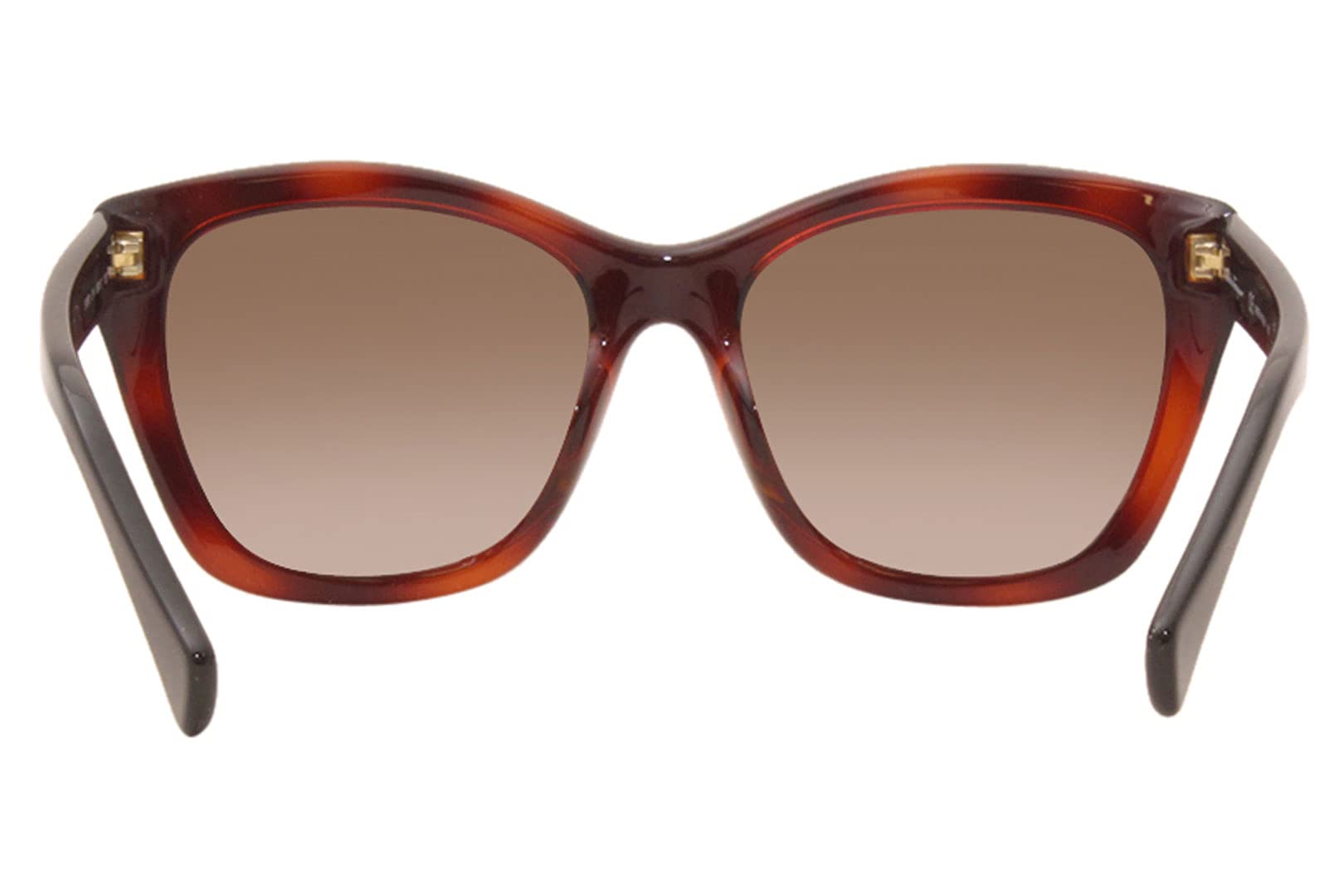 Ferragamo SF957S Women Sunglasses Tortoise
