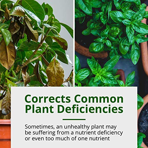 Humboldts Secret Calcium, Magnesium and Iron Supplement β Hydroponic Supplies β Liquid Nutrient Fertilizer β Supports Vegetative and Flowering Stage β 1 Quart