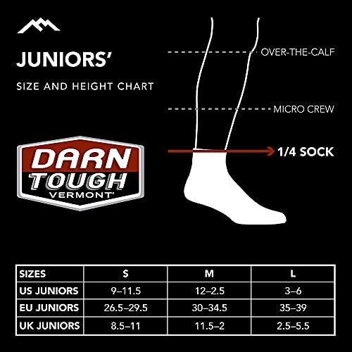 Darn Tough boys Kelso Micro Crew Light Cushion (Toddler/Little Kid/Big Kid) Outdoors Equipment, Lavender, Small US