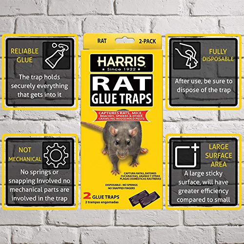Harris Rat Glue Traps, Fully Disposable (2-Pack)