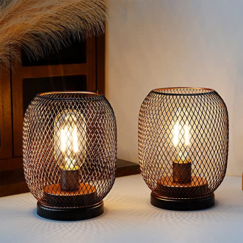 JHY DESIGN Set of 2 Metal Cage LED Lantern Battery Powered,Cordless Accent Light with LED.Great for Weddings,Parties,Patio,Events for Indoors Outdoors（Round Shape