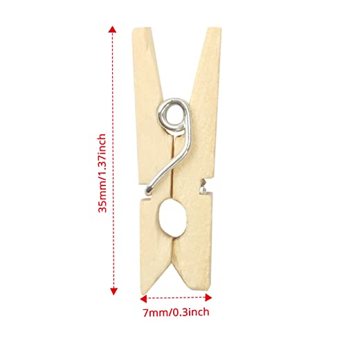 NUTJAM 100 Pack Mini Clothespins,3.5 X 0.7 MM Clothes Pins, Wooden Small Clothes Clips for Photos, Clothesline, Bag, Crafts, Art Wall, Pictures